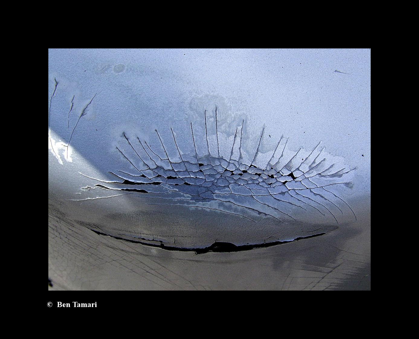 Patterns, Fractals and Attractors