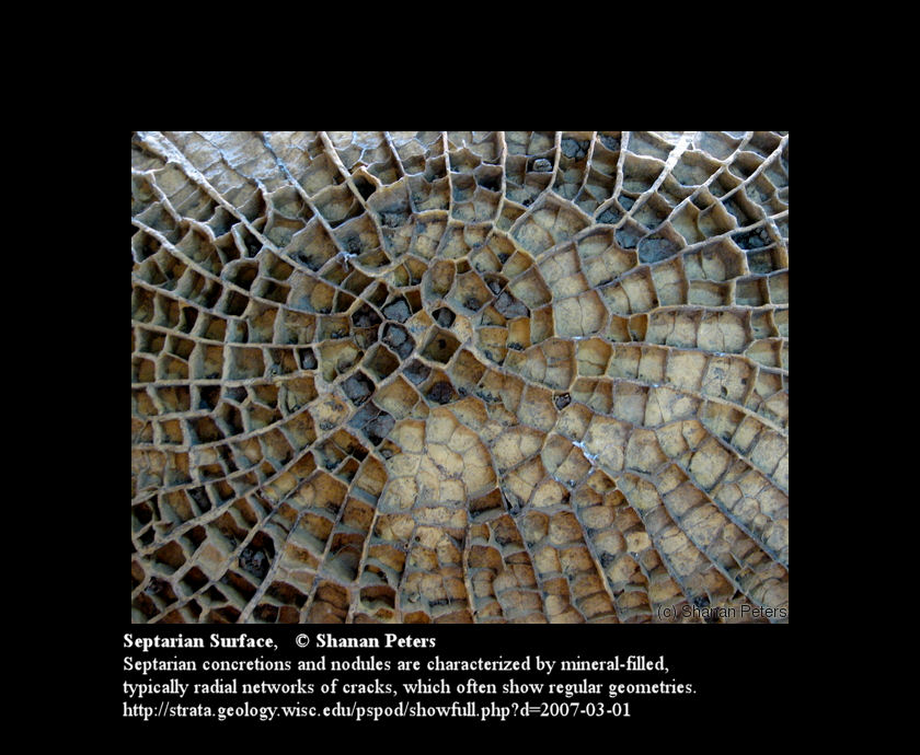 Patterns, Fractals and Attractors