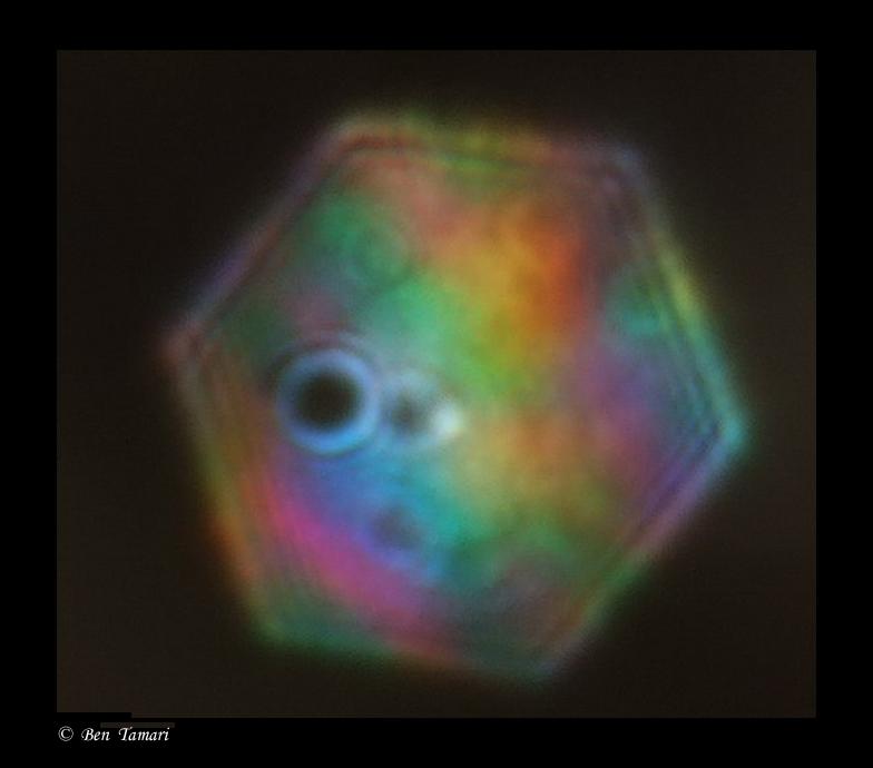 Examples of diffraction in nature - truekool
