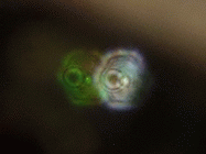 Patterns, Fractals and Attractors